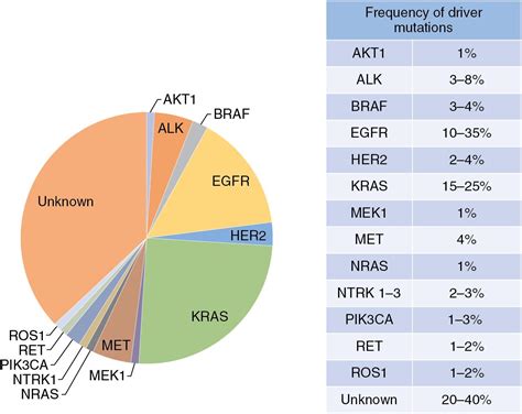 Histology And Molecular Testing Clinical Tree