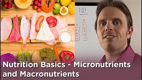 Nutrition Basics Micronutrients And Macronutrients YouTube
