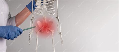 Premium Photo Pelvis Pelvic Bone Trauma Injury And Pain Concept On