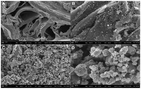 Magnetic Biochar As Well As Preparation Method And Application Thereof