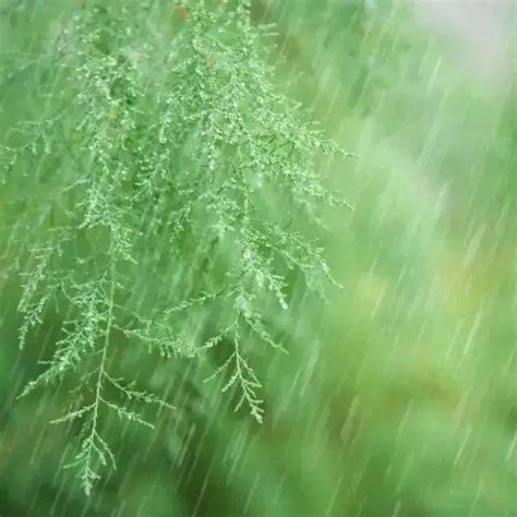注意！阵雨、雷雨频繁上线，请注意防范泰顺阴有中天气