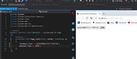 Asp Net Server
