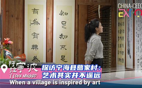 探访宁海县葛家村艺术其实并不遥远 CGTN CGTN 哔哩哔哩视频