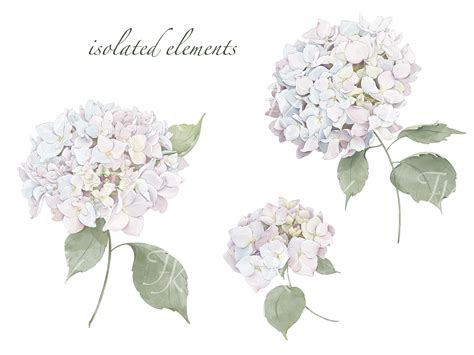 Hydrangea Seamless Pattern Behance