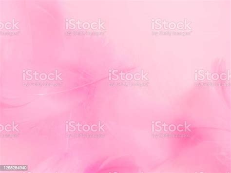 흰색 배경에 아름다운 추상 회색과 분홍색 깃털 핑크 패턴과 핑크 배경에 흰색 깃털 프레임 질감 그런지 이미지 기법에 대한 스톡