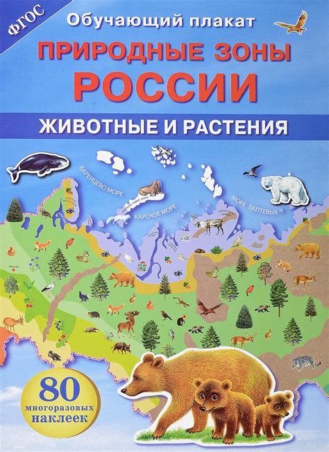 Плакат животные россии (50 фото)