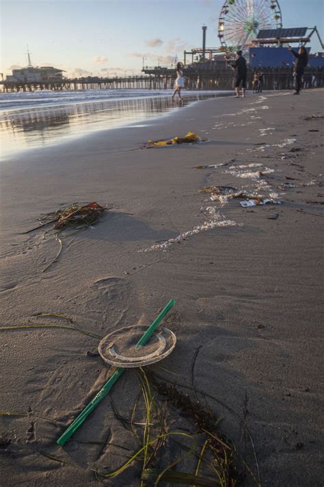 Did Plastic Straw Bans Work Yes But Not In The Way Youd Think Grist