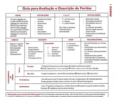 Evolução De Ferida Enfermagem Zuledu