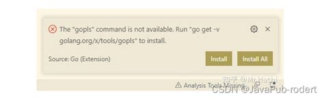 The “gopls“ Command Is Not Available Run “go Get V Xtools