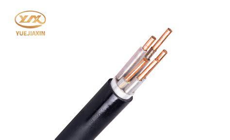 What Is The Difference Between Byj And Yjy Foshan Yuejiaxin Wire