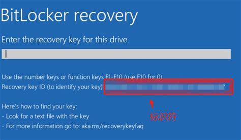 Bitlocker 恢复密钥文件中的‘标识符‘通过什么命令可以查看到呢？ Microsoft Qanda