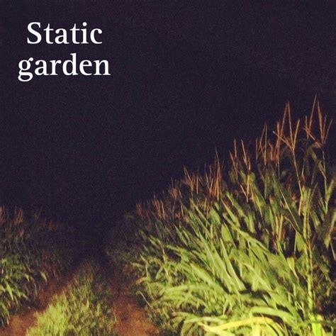 Analogue Faces Static Garden Static Garden Icepick Records