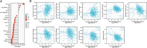 Correlation Of Alg3 Expression With Immune Infiltration Level A Alg3