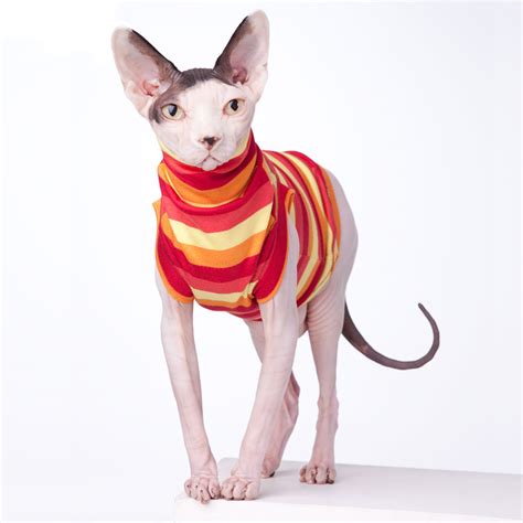 Sphynx Cat Shirts CHERRY POP Crew Turtleneck Sphynx Cat Wear