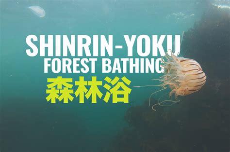 Shinrin Yoku 森林浴 Forest Bathing Pcai