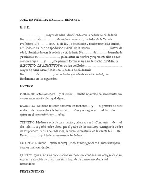 Demanda Ejecutiva De Alimentos Pdf Demanda Judicial Gobierno