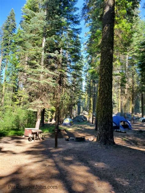 Crane Flat Campground Yosemite National Park Park Ranger John