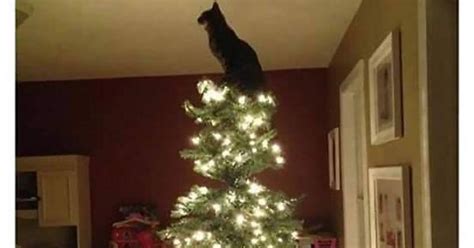 Domination Album On Imgur