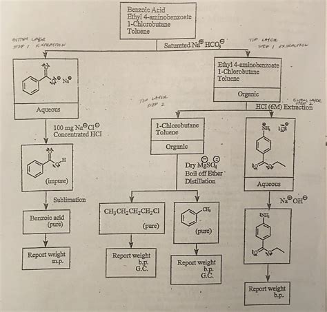 Solved Benzoic Acid Ethyl 4 Amínobenzoate 1 Chlorobutane