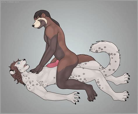 Rule 34 Anal Anal Sex Anthro Augustine Mayer Duo Feline Knot Leopard