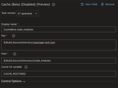 Cache Node Modules Return Error A Potentially Dangerous Request Path Issue