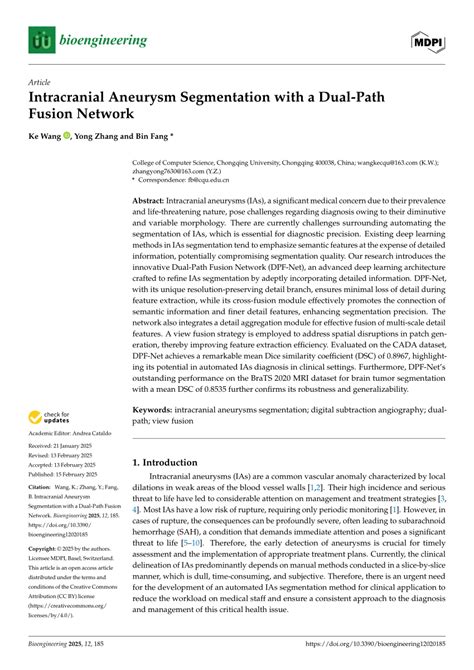 Pdf Intracranial Aneurysm Segmentation With A Dual Path Fusion Network