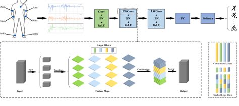 Overview Of The Model Framework With Lightweight Cnn For Har
