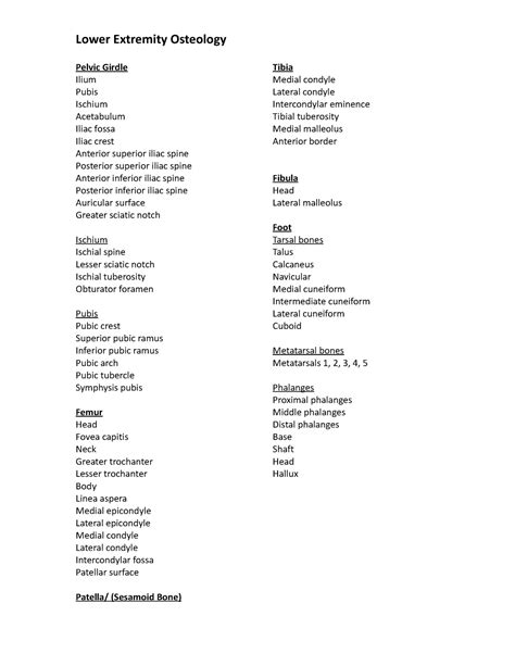 1 Lower Extremity Osteology Lower Extremity Osteology Pelvic Girdle