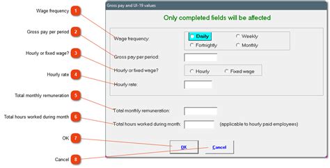 Gross Pay And Ui 19 Values