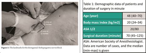 A Novel Approach To Ilioinguinal And Iliohypogastric Nerve Block Using