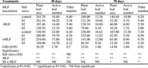 The Effect Of Salinity And Mlf On Plant Leaf Area Active Leaf Number