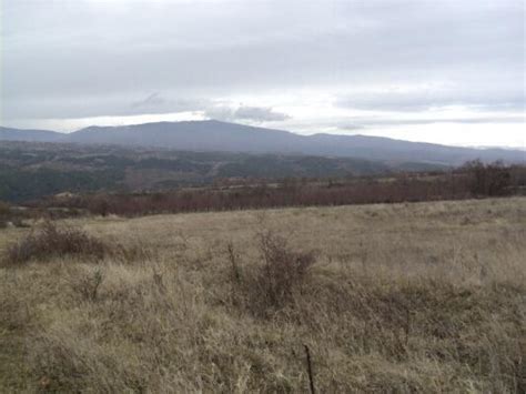 ПРОДАЖБА НА ПОЗЕМЛЕН ИМОТ НИВА В С СКРЪТ М РЕМЕШНИЦА