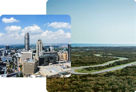 Ecosystem Illibrium Tech