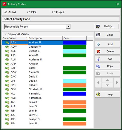 P6 Professional Activity Code Color Field Ten Six
