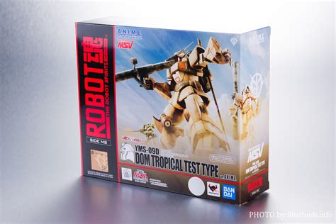 レビュー ROBOT魂 SIDE MS YMS 09D ドムトロピカルテストタイプ ver A N I M E