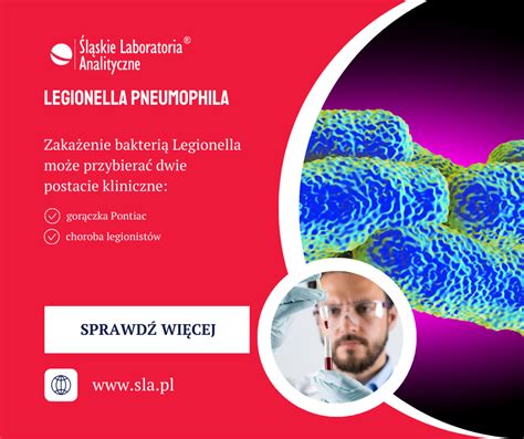 Bakteria Legionella Pneumophila Przyczyny Objawy I Leczenie
