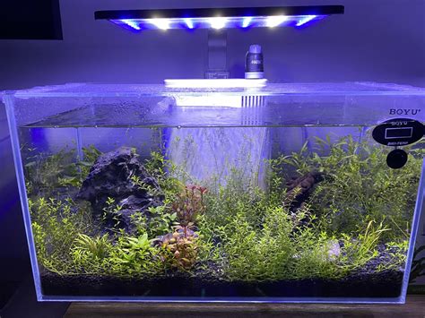 Nano Aquascaping No CO2 APSA
