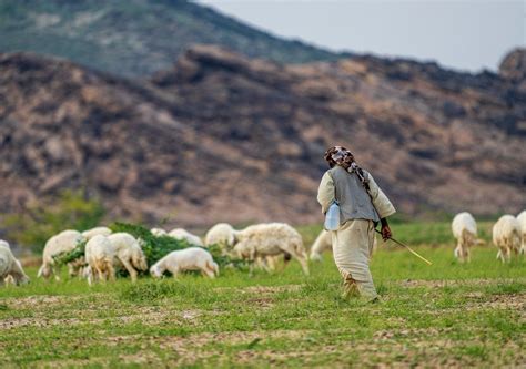 Desiertos más verdes qué impactos se pueden generar sobre el clima y la economía de un país