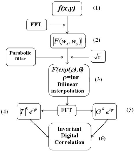 Simplified Block Diagram Representing The Nonlinear Invariant Download Scientific Diagram