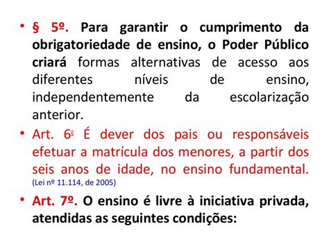 Ldb Lei 9394 96 Professor Vagnum