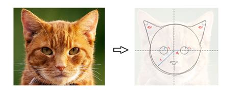 Classifying Devanagari Vowels With Tflearn Jayanand Vijayan Software Development Engineer