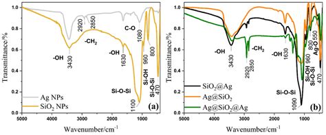 fourier transform infrared spectra for a ag nps sio2 nps and b