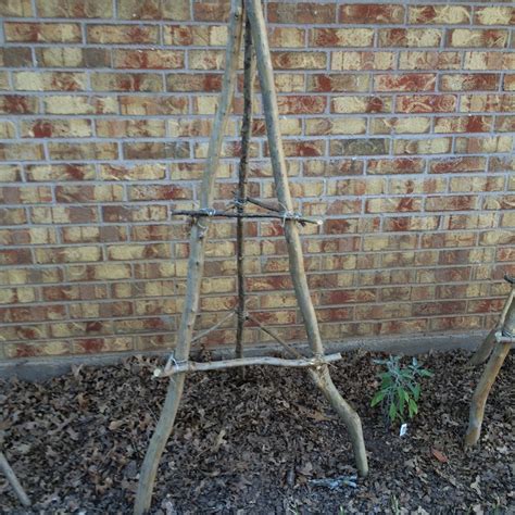 Gardening And Making Tree Branch Trellis Mixed Kreations