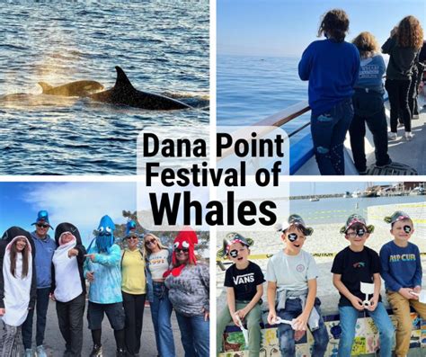 Dana Point Festival Of Whales 2025