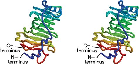 Figure 1 From The Structure Of Rice Weevil Pectin Methylesterase Semantic Scholar