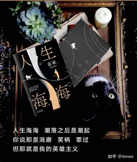 好书推荐 麦家《人生海海》 知乎