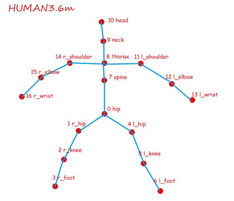 Joint And Number Issue 18 QitaoZhao PoseFormerV2 GitHub