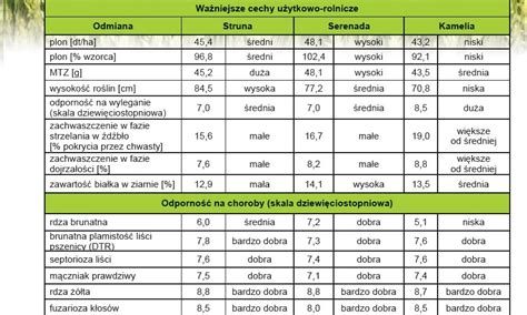 Jaka Pszenica Jara Do Uprawy Ekologicznej Kalendarzrolnikow Pl