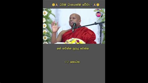 අත් හරින්න පුරුදු වෙන්න Episode 02 වැලිමඩ සද්ධාසීල ස්වාමින් වහන්සේ