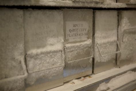 What Does It Mean To Be In The Post Genomic Age